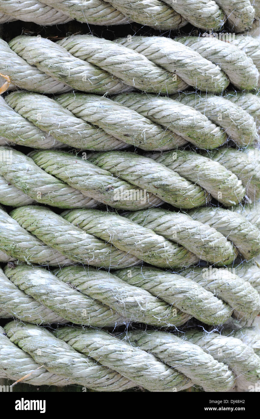 Rope webs hi-res stock photography and images - Alamy