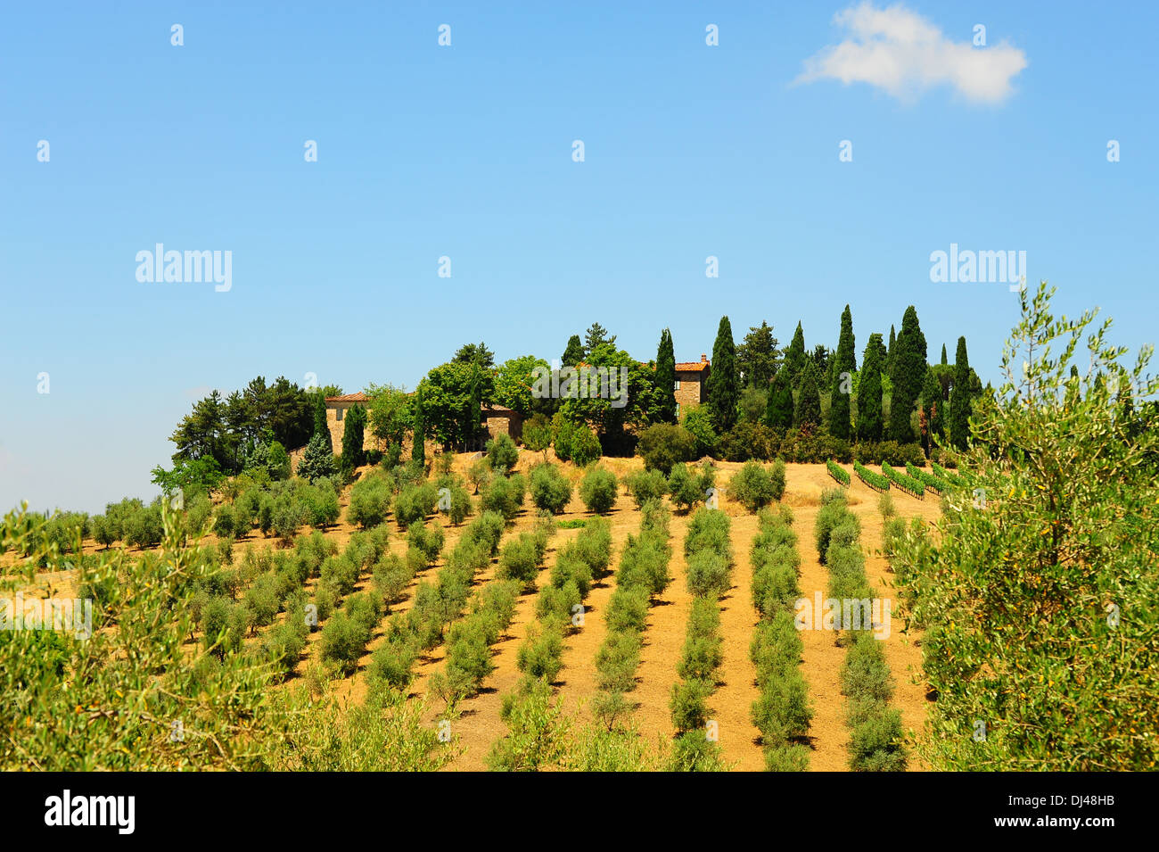 Chianti region hi-res stock photography and images - Alamy