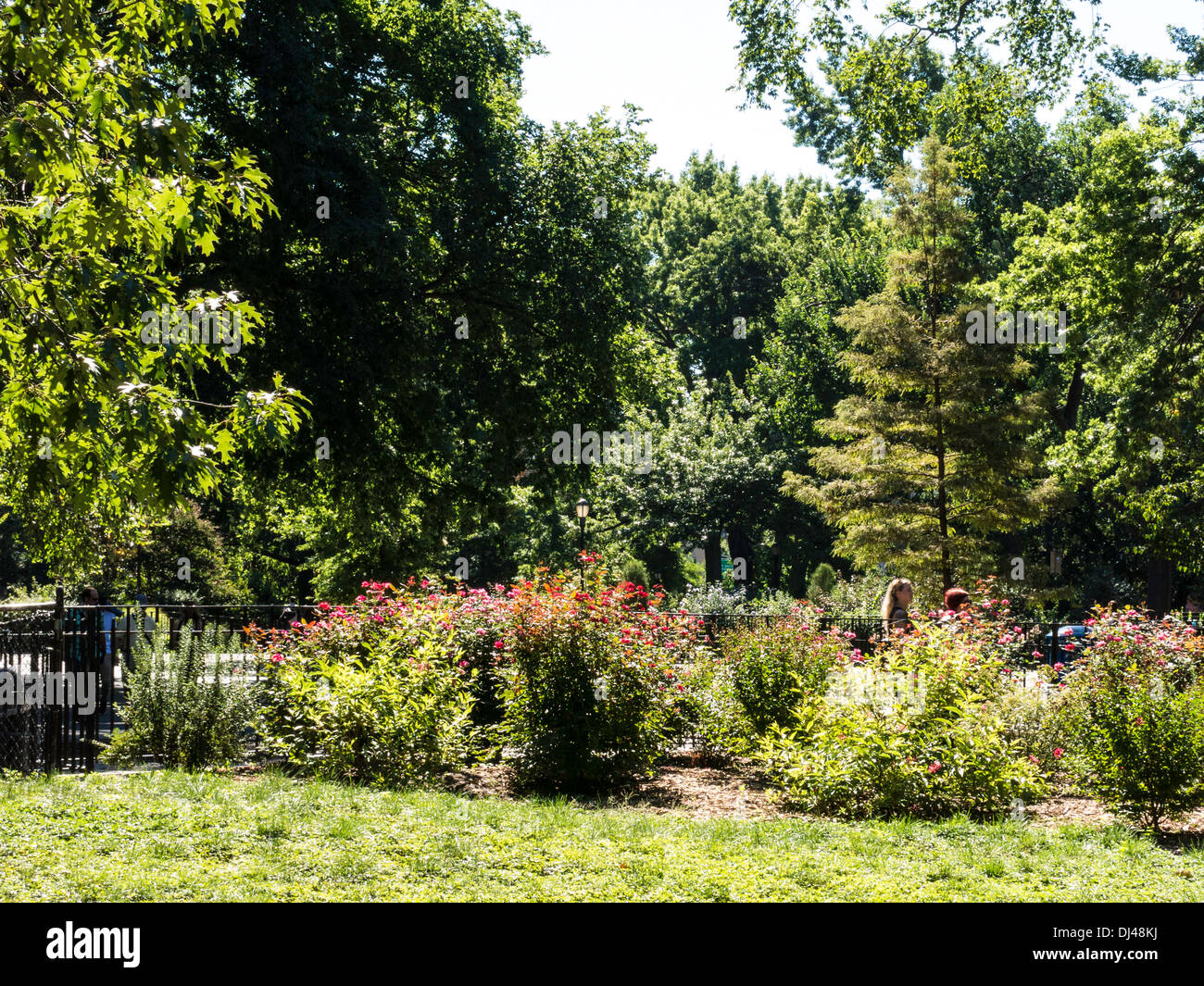 Tompkins Square Park, NYC Stock Photo - Alamy