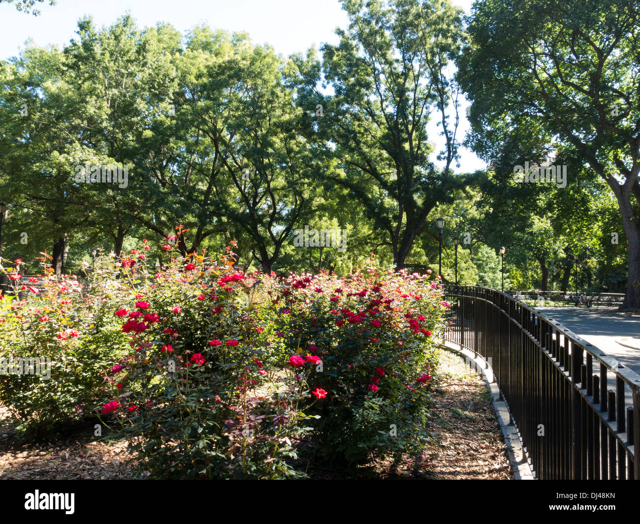 Tompkins Square Park, NYC Stock Photo - Alamy