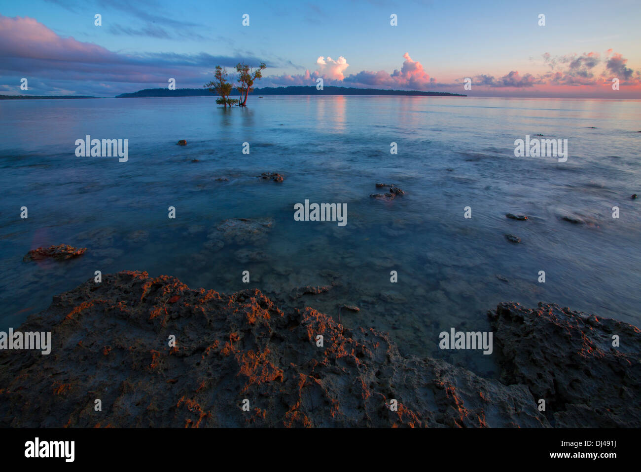 Havelock island andaman beach hi-res stock photography and images - Alamy