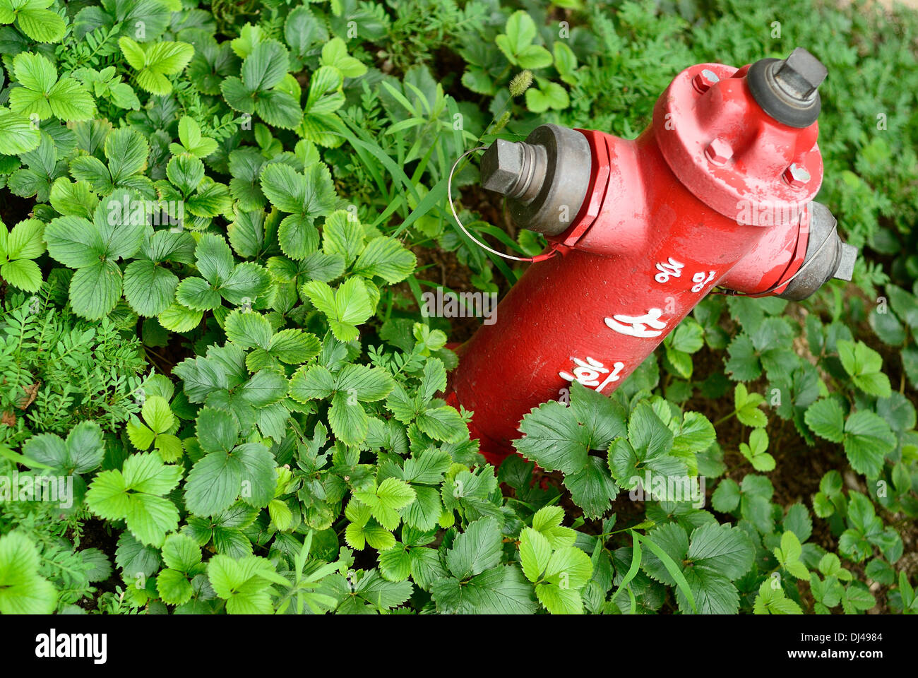 Plant fire brigade hi-res stock photography and images - Alamy