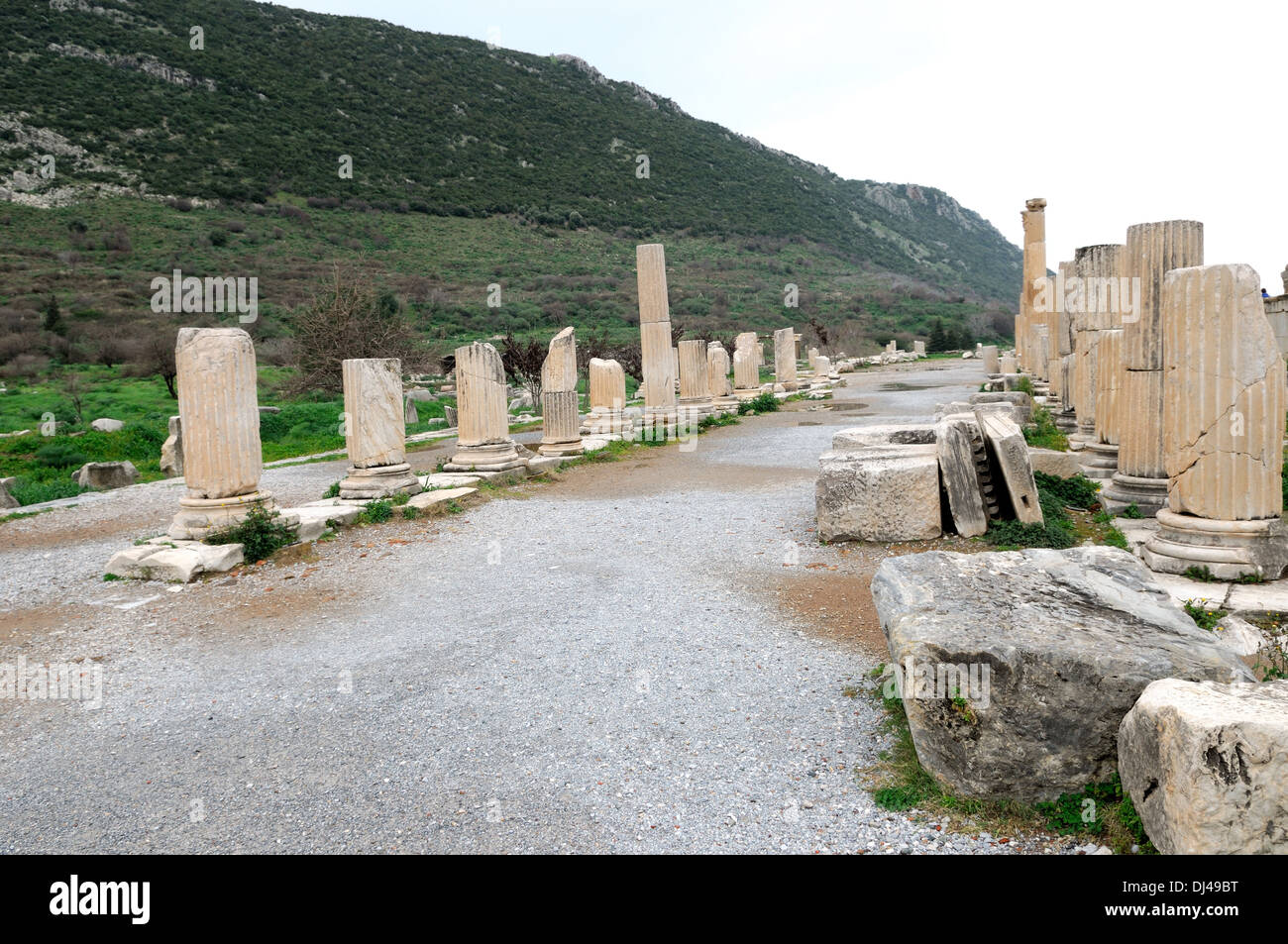 Colonnade Basilica Ephesus Turkey Stock Photo - Alamy
