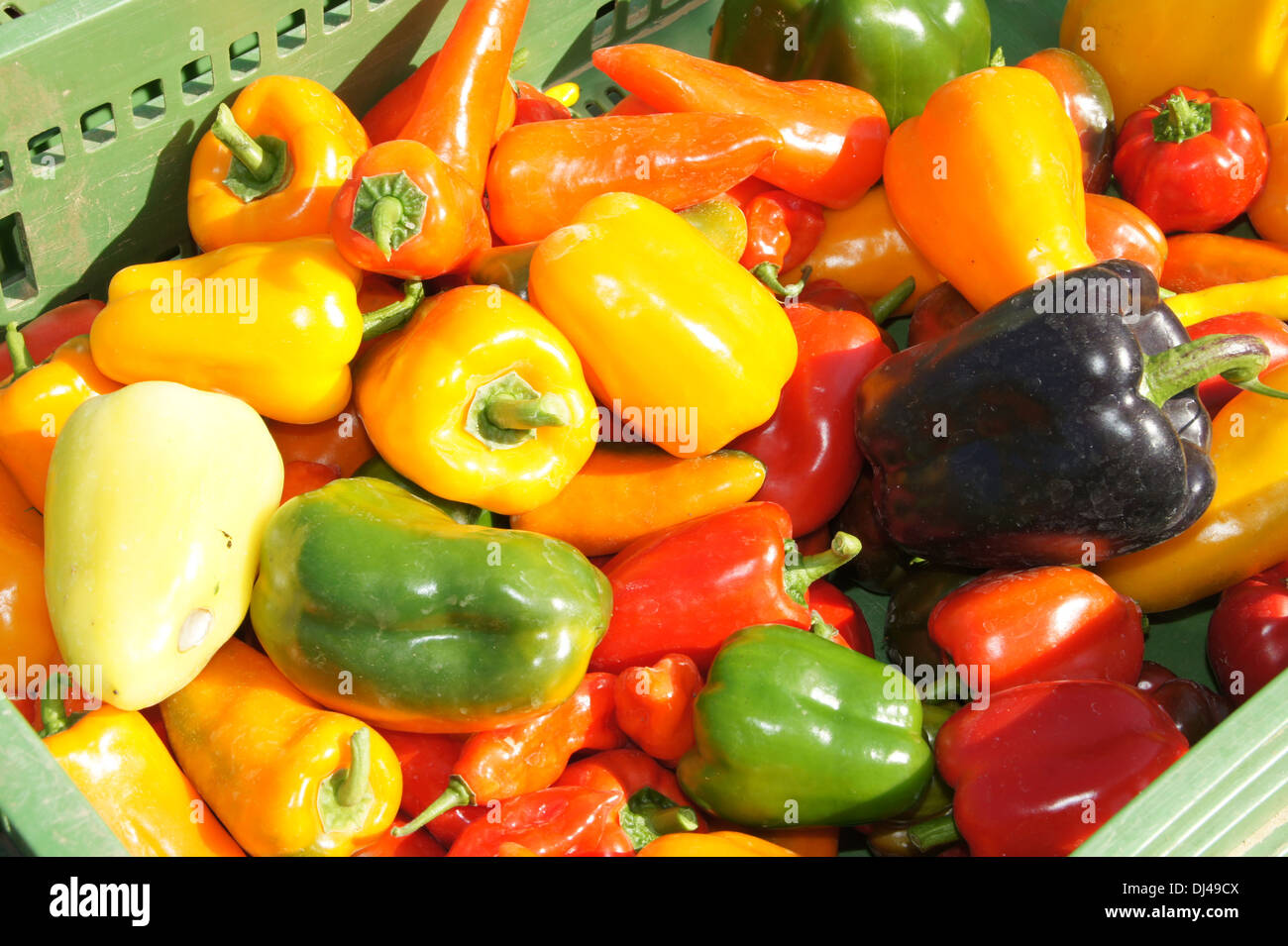 Bell_pepper hi-res stock photography and images - Alamy
