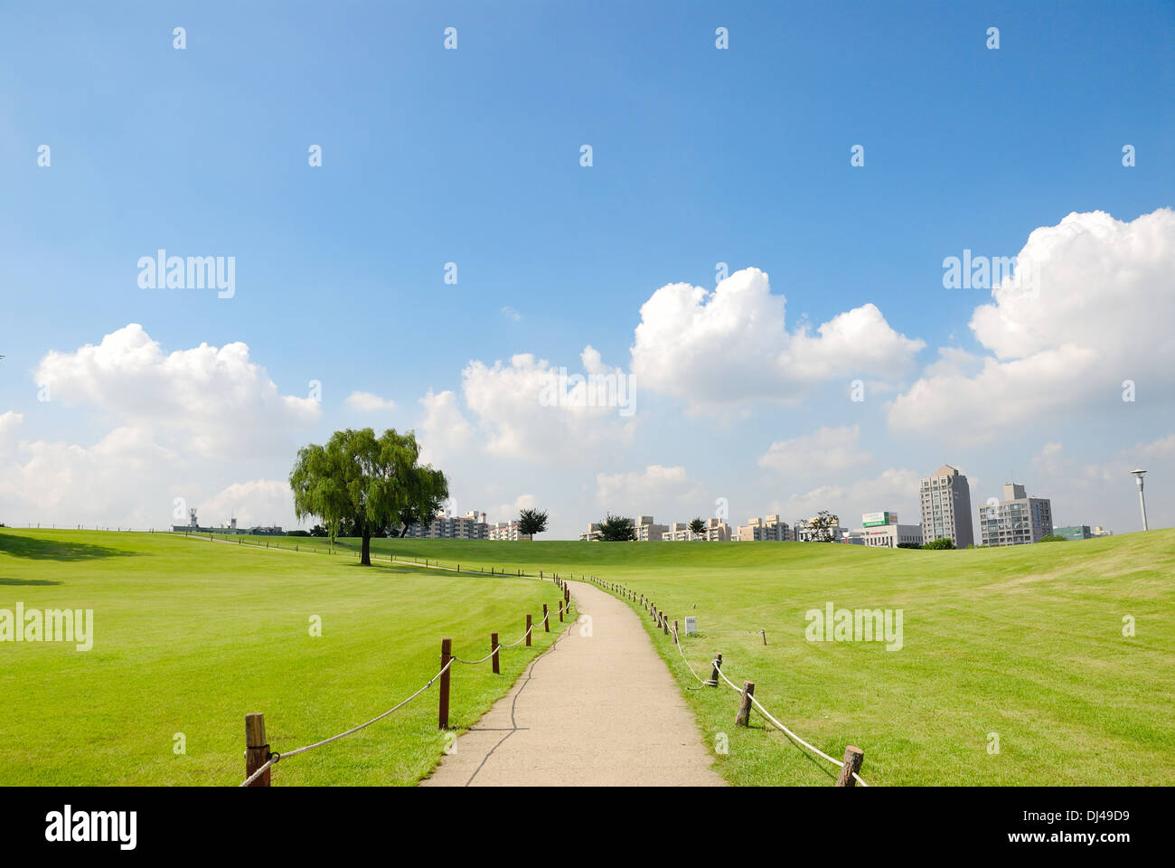 field in a city Stock Photo - Alamy