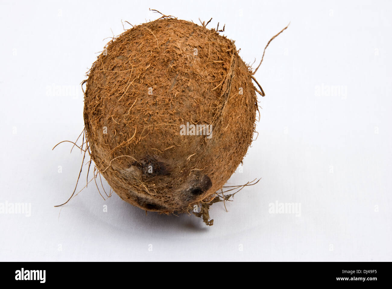 Coconut one hi-res stock photography and images - Alamy