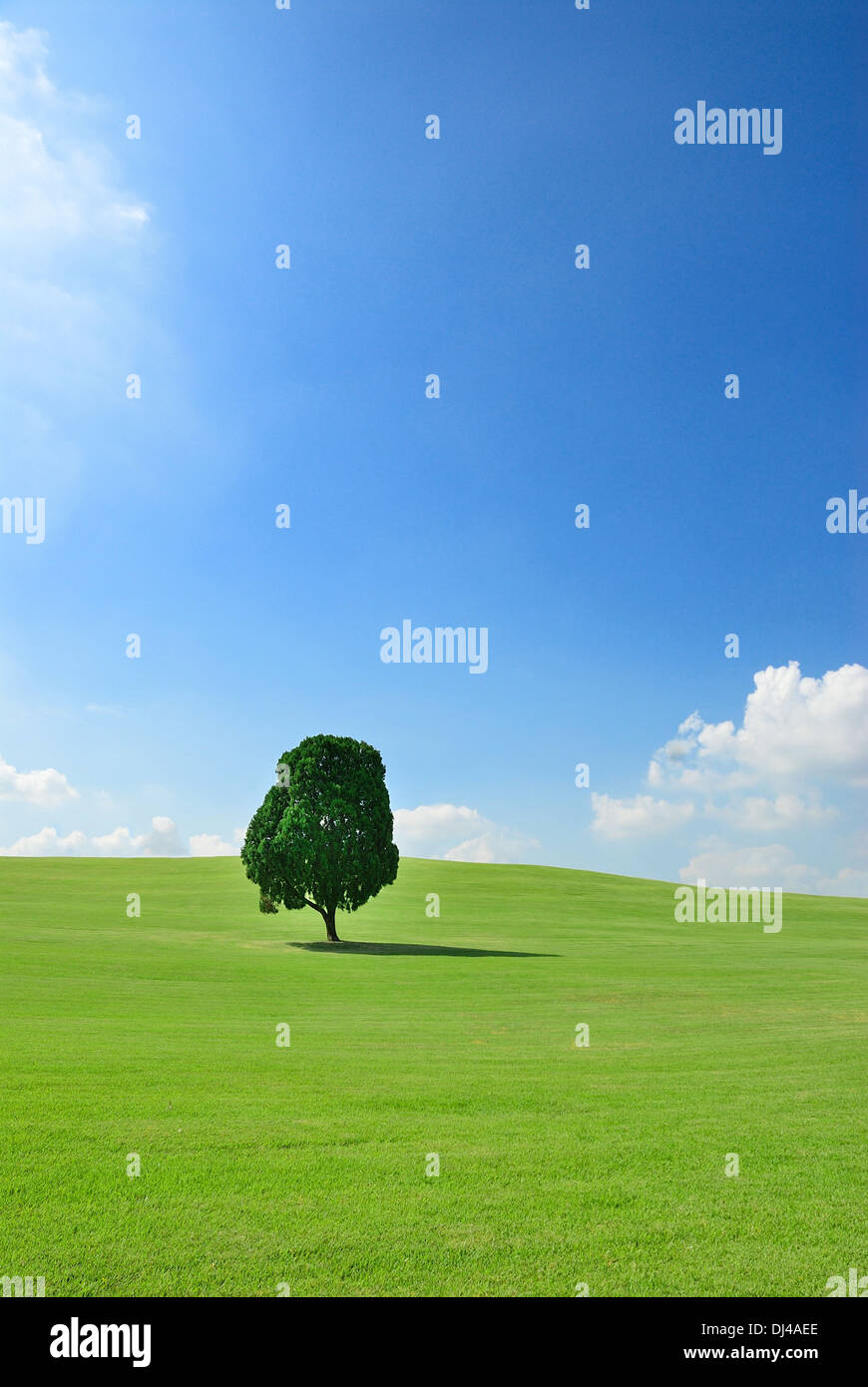 Solo field hi-res stock photography and images - Alamy