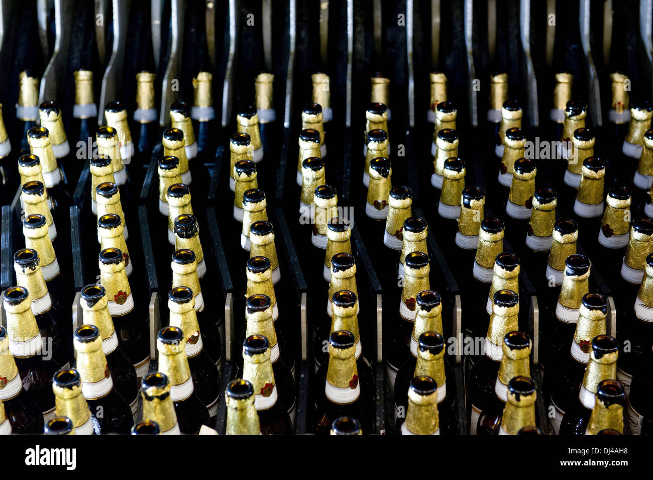 Radeberg pilsner hi-res stock photography and images - Alamy