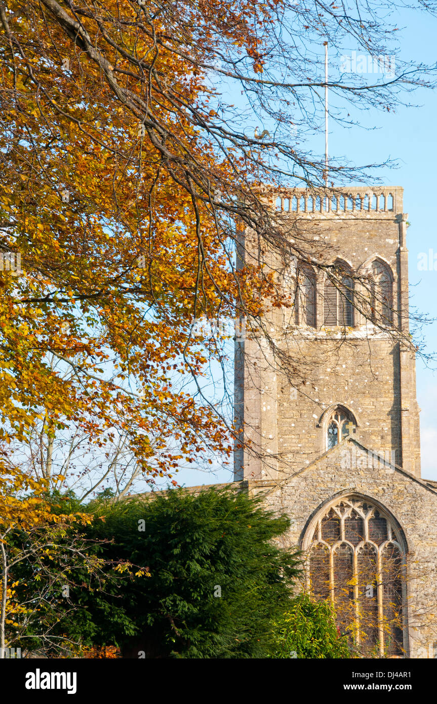 St marys church tower wedmore hi-res stock photography and images - Alamy