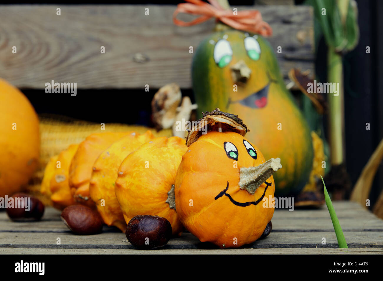 Pumpkin face with snake Stock Photo - Alamy
