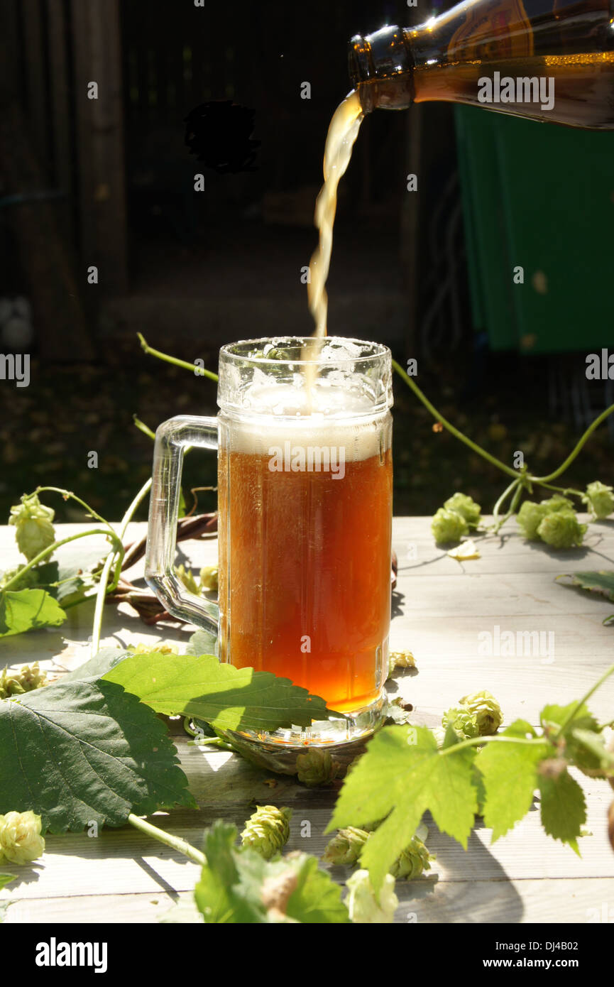 Beer breewing hi-res stock photography and images - Alamy