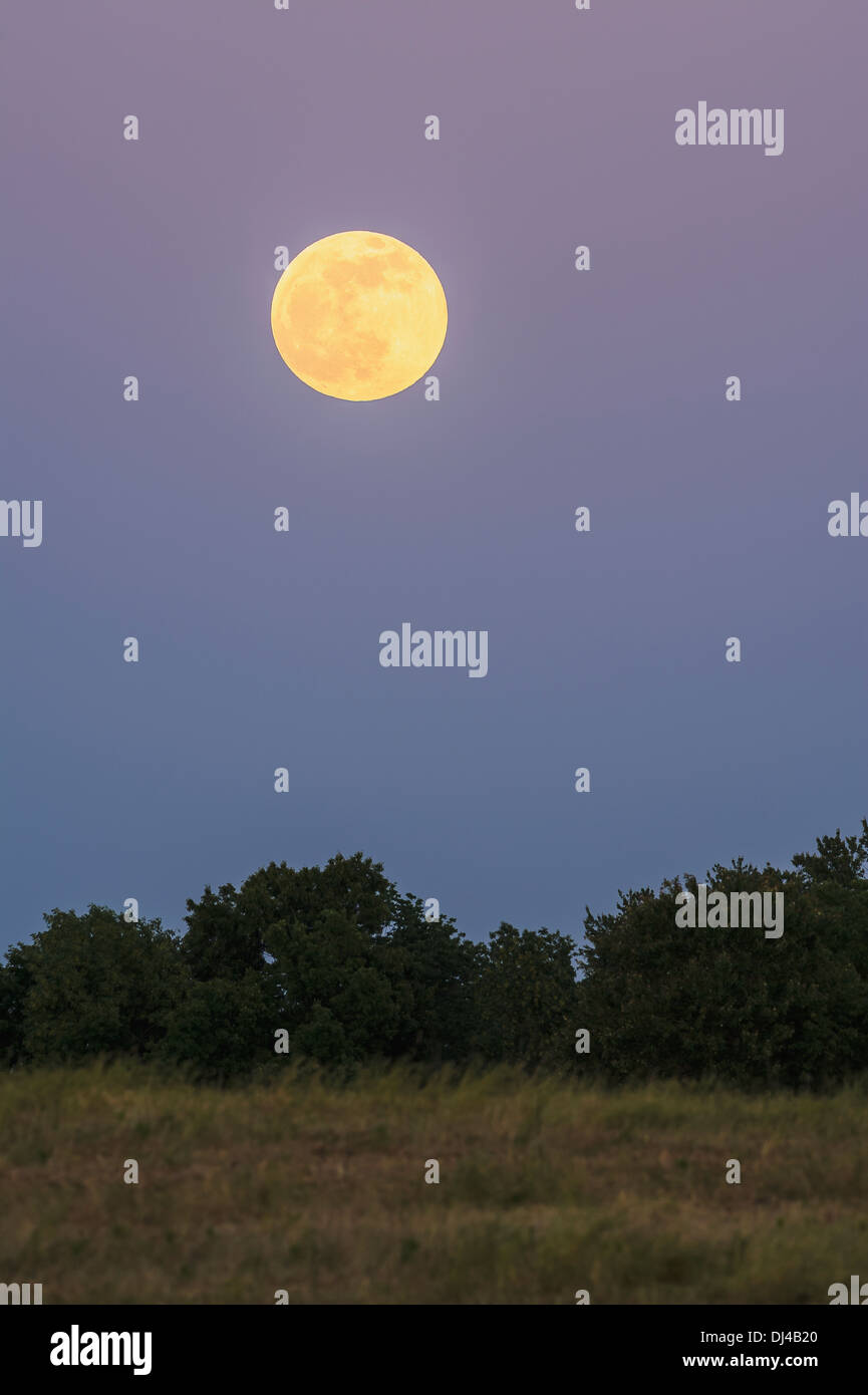 Full moon at dusk;Ohio united states of america Stock Photo - Alamy