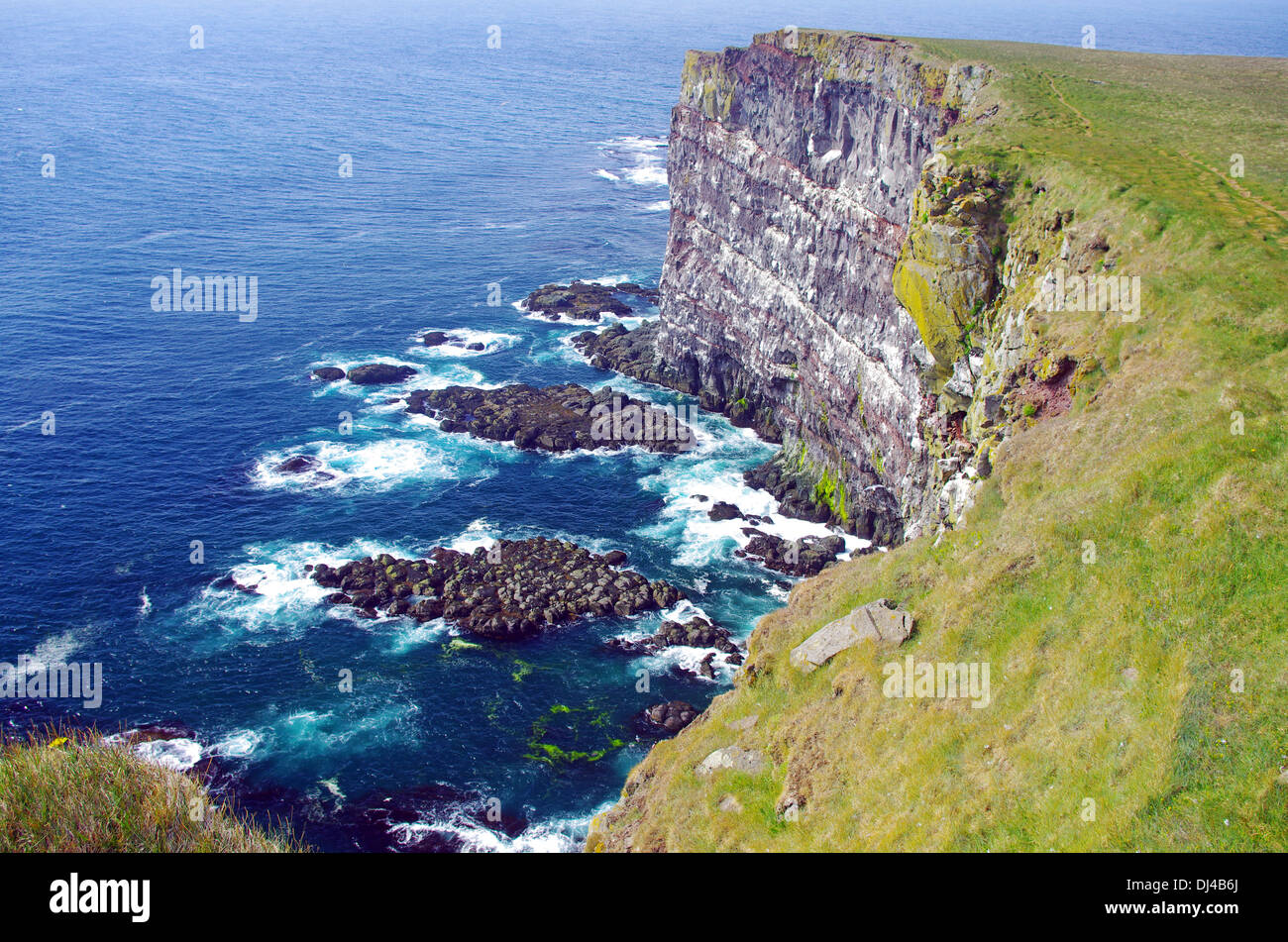 The highest cliffs of Iceland Stock Photo - Alamy