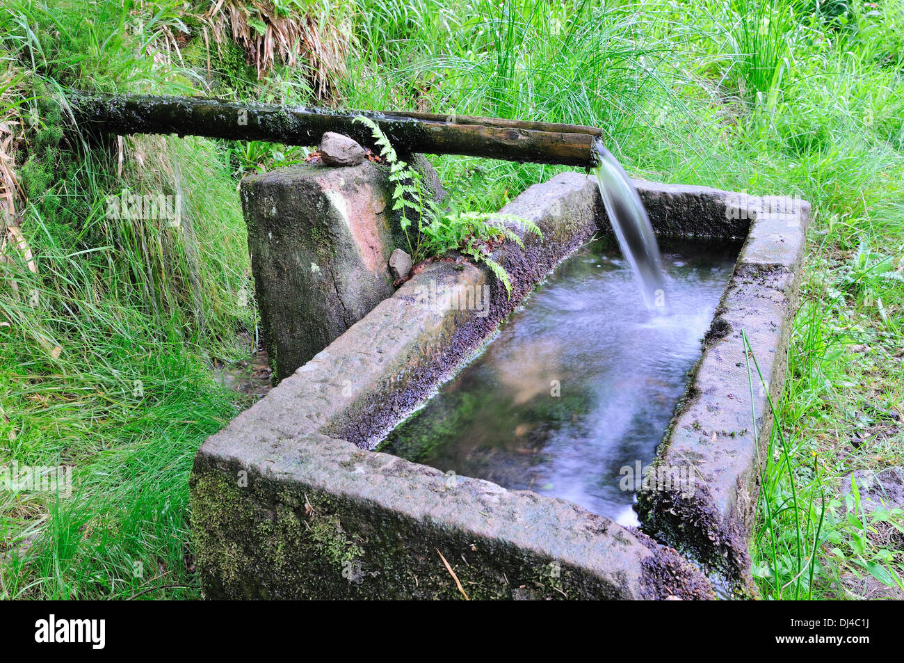 Fountain trough hi-res stock photography and images - Alamy