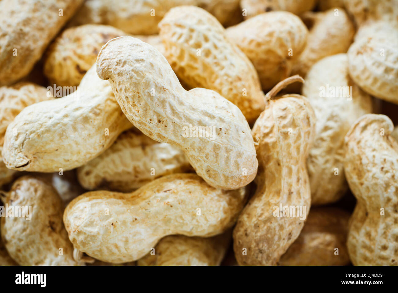 Whole peanuts or monkey nuts Stock Photo - Alamy