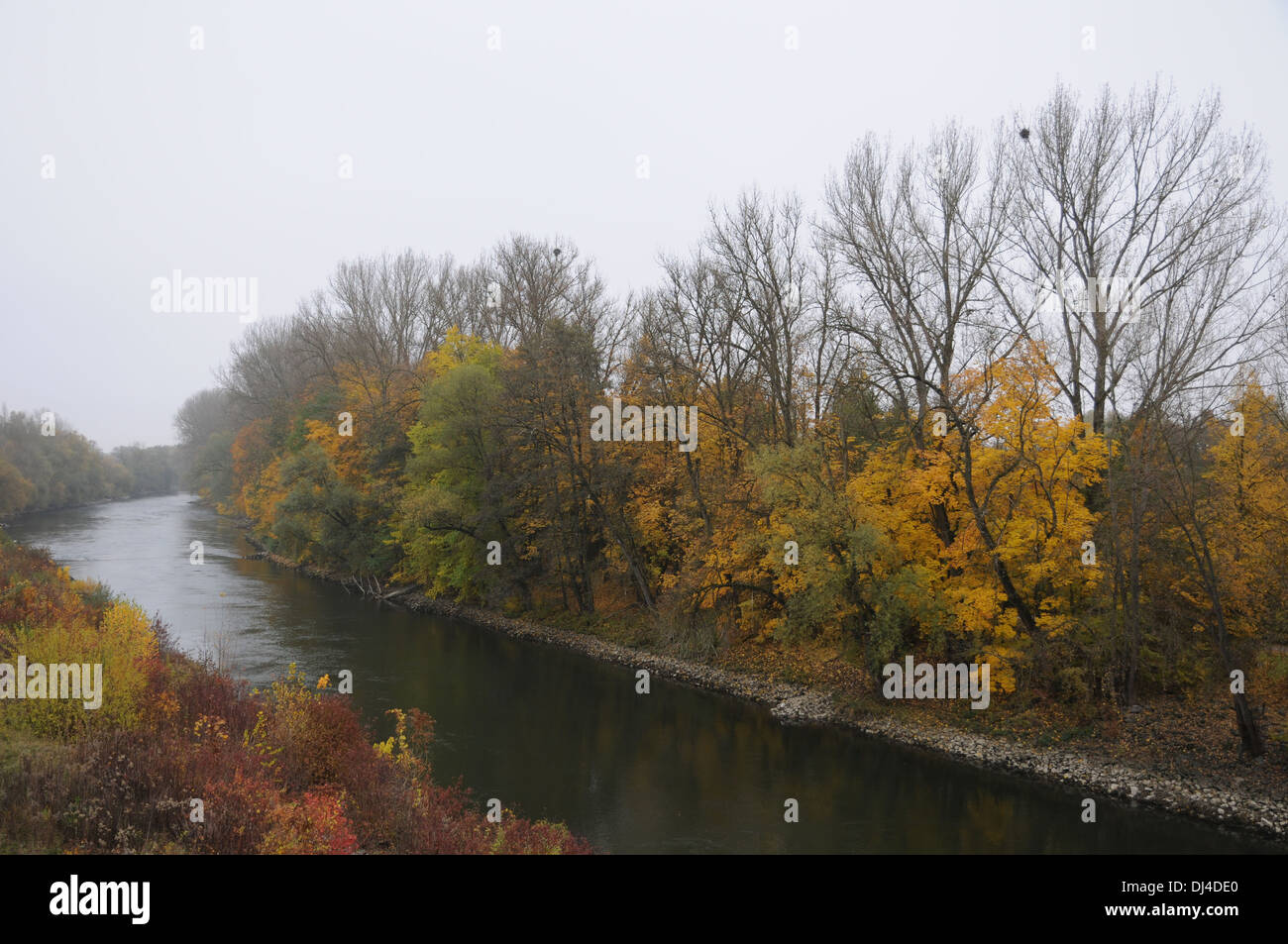Riparian hi-res stock photography and images - Alamy