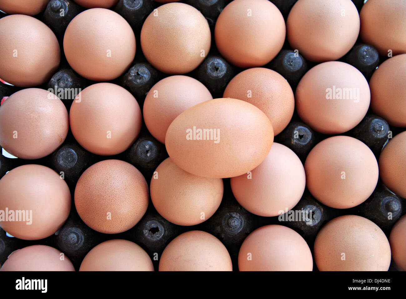 Row eggs hi-res stock photography and images - Alamy