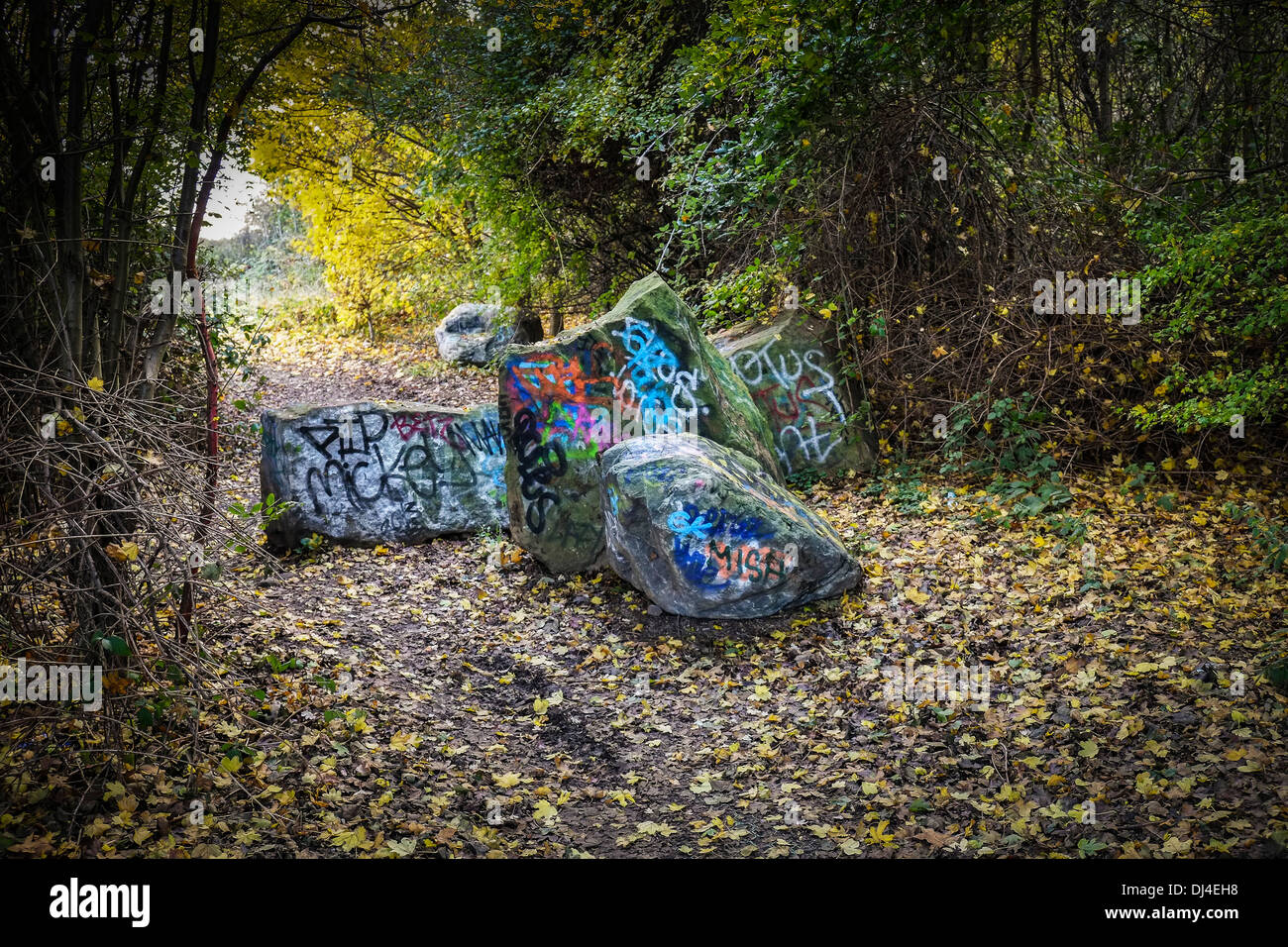 Graffiti covered rocks in woodland Stock Photo - Alamy