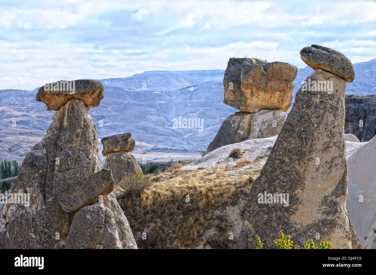 Kalkstein family hi-res stock photography and images - Alamy