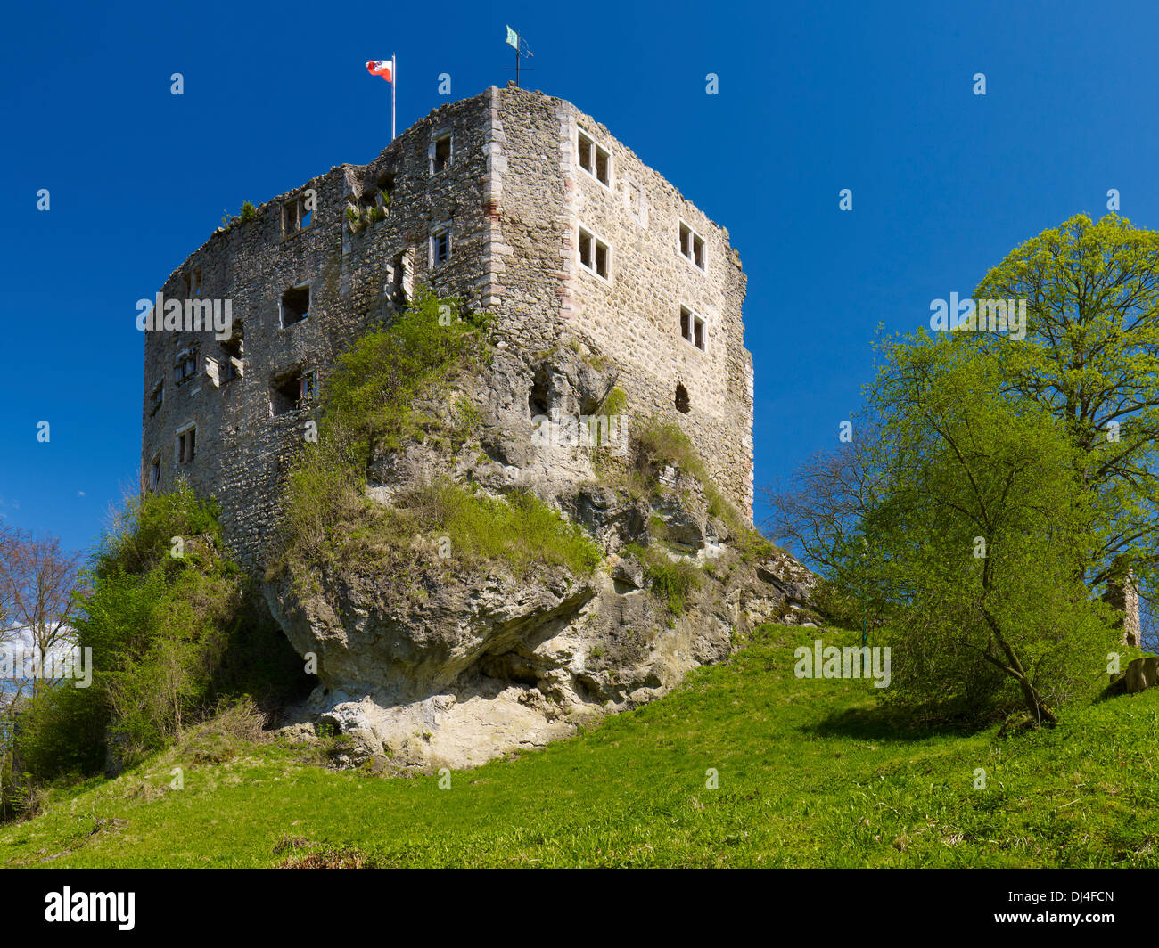 Castle ruin in Bad Liebenstein, Thuringia, Germany Stock Photo - Alamy