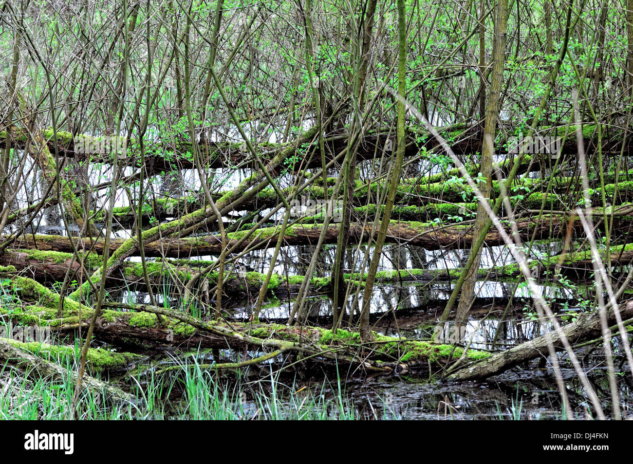 Fall to be greater Stock Photo - Alamy