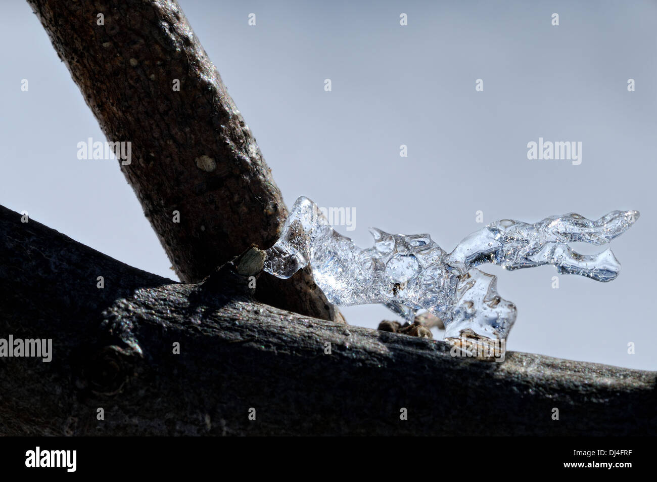 Icicle sculptures hi-res stock photography and images - Alamy