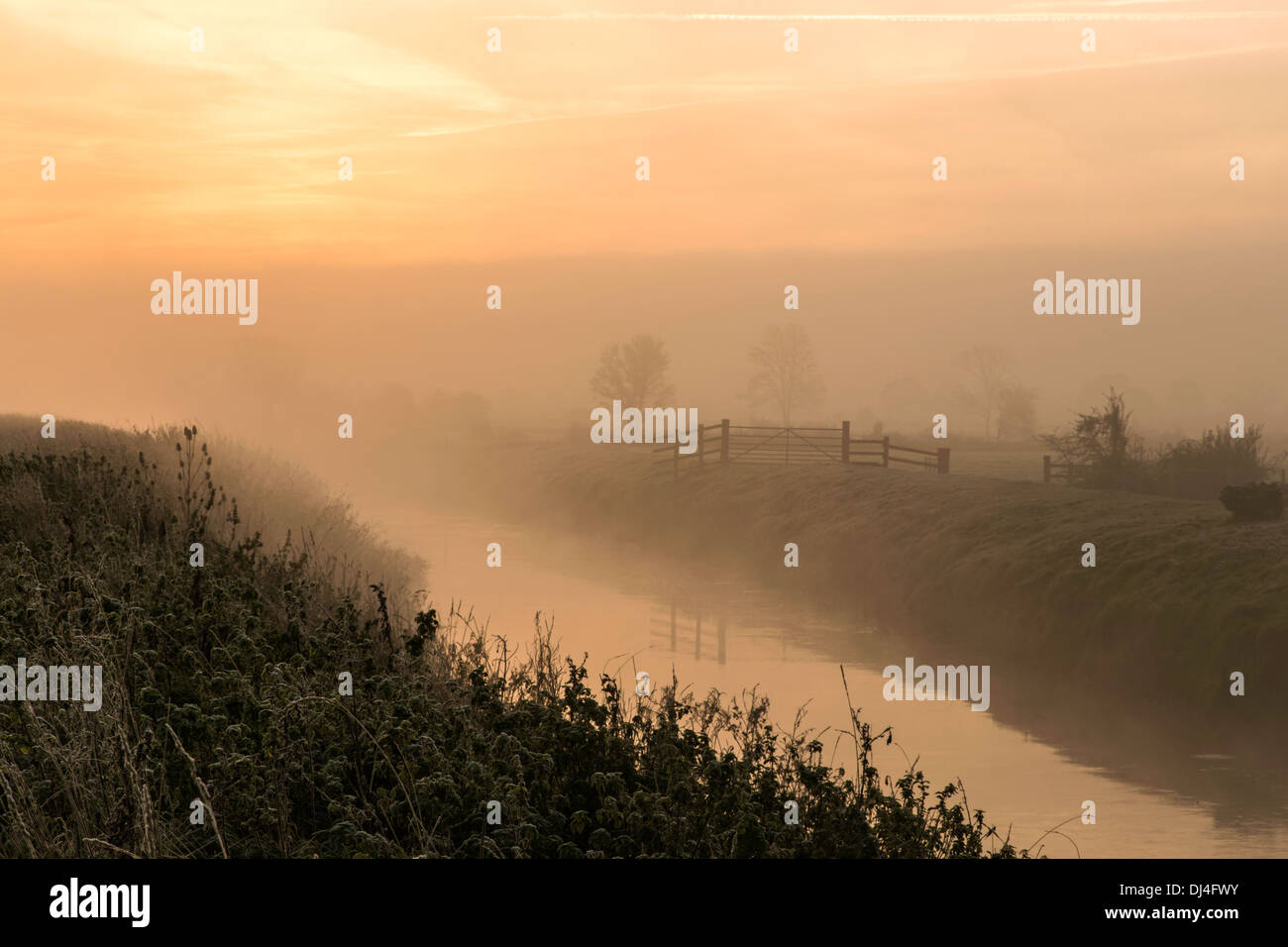 Early morning mist on the River Brue, Somerset Levels, Somerset ...
