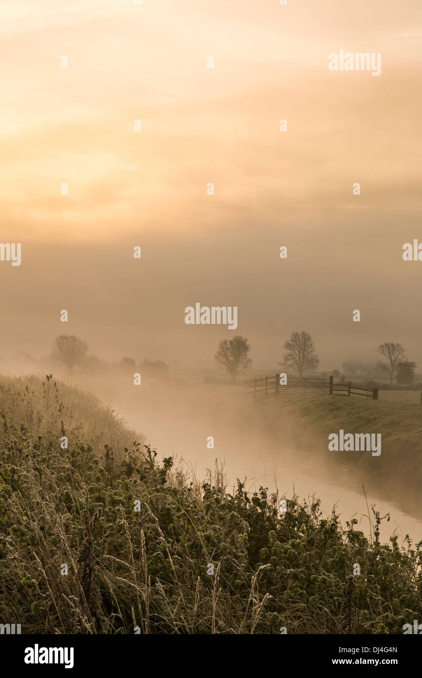 Early morning mist on the River Brue, Somerset Levels, Somerset ...