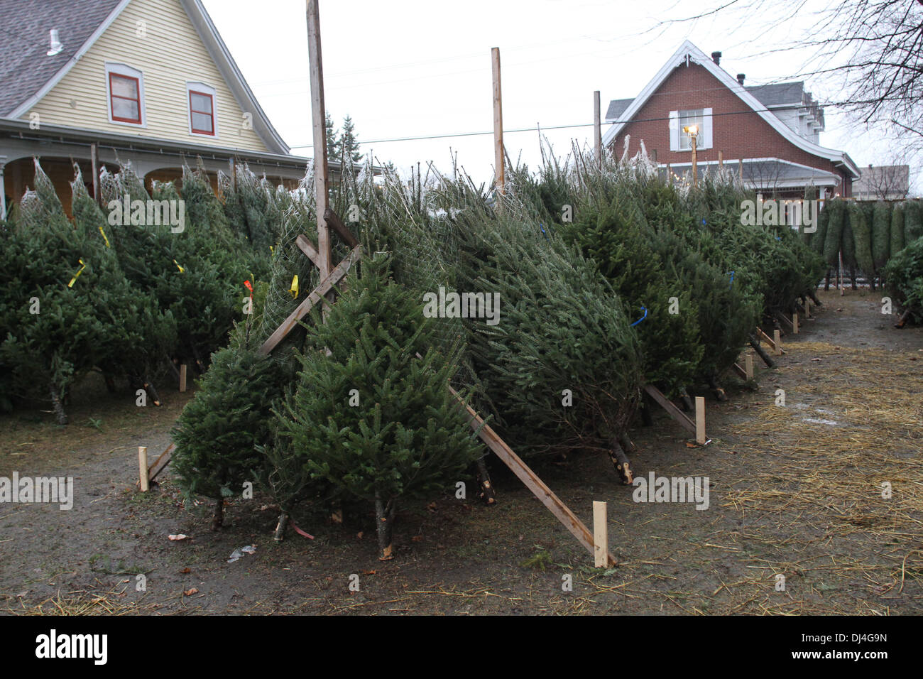 Secular christmas hi-res stock photography and images - Alamy