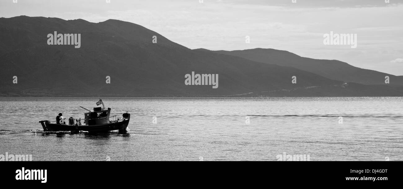 Ionian sea fish Black and White Stock Photos & Images - Alamy
