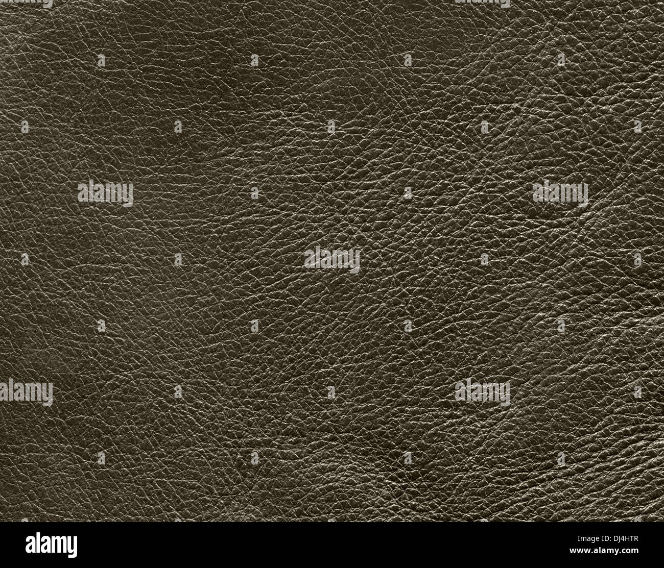 Stained leather hi-res stock photography and images - Alamy