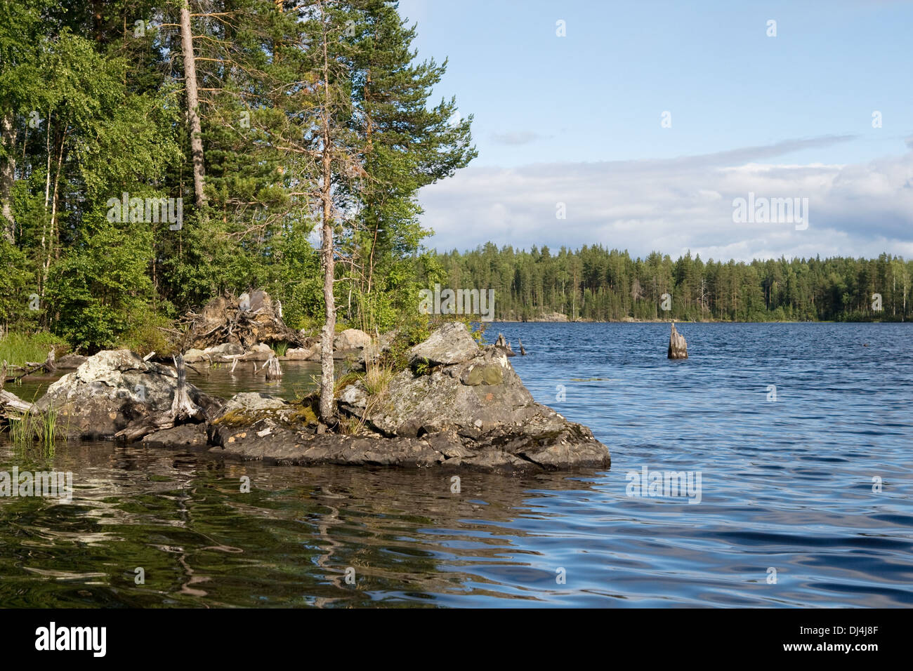 Landscape of Karelian lake and sky with clouds Stock Photo - Alamy