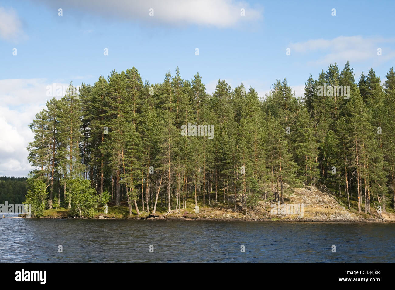 Landscape of Karelian lake and sky with clouds Stock Photo - Alamy