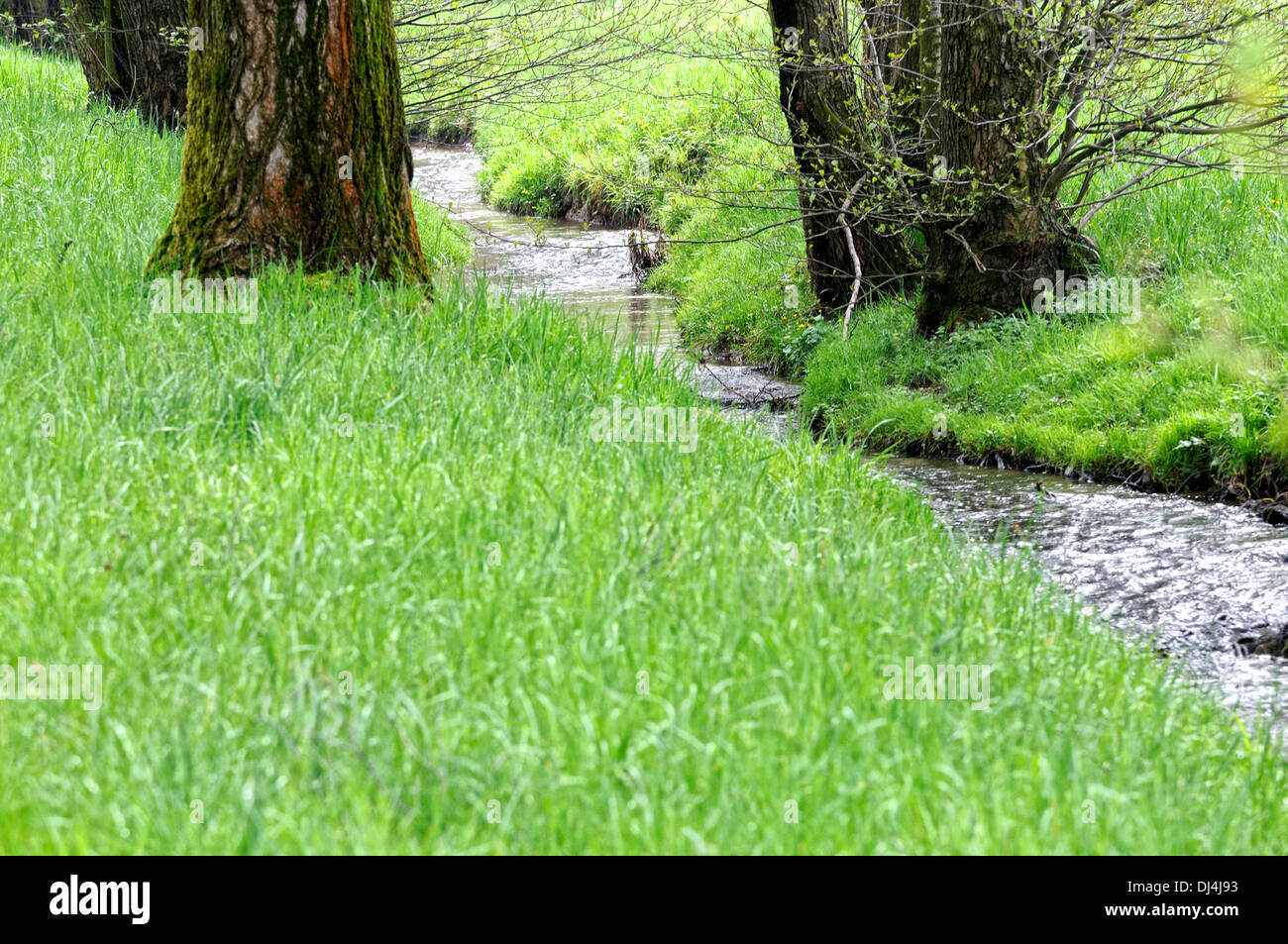 Middle zone hi-res stock photography and images - Alamy