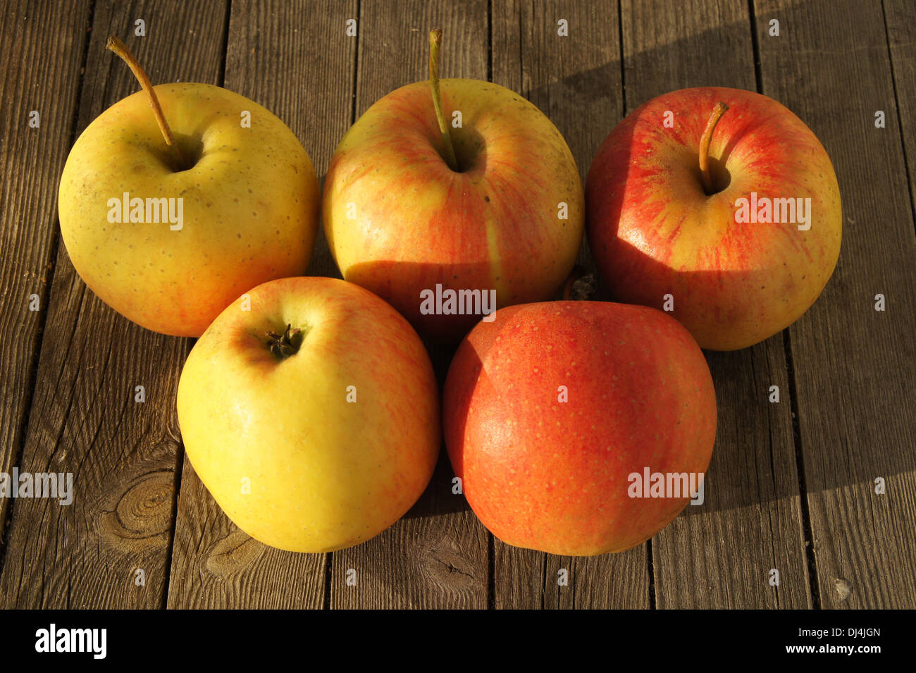 Apfel pinova hi-res stock photography and images - Alamy