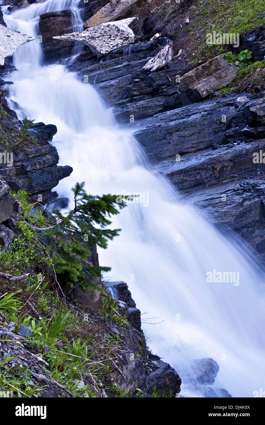 Mountain Waterfall Montana. Small Spring Waterfall in Montana ...