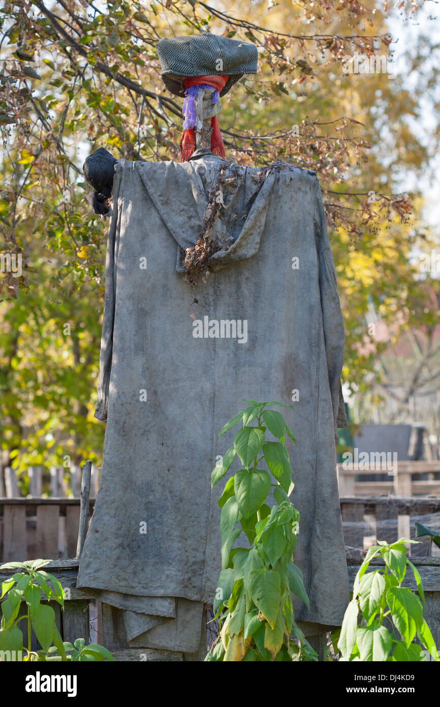 Old scarecrow hi-res stock photography and images - Alamy
