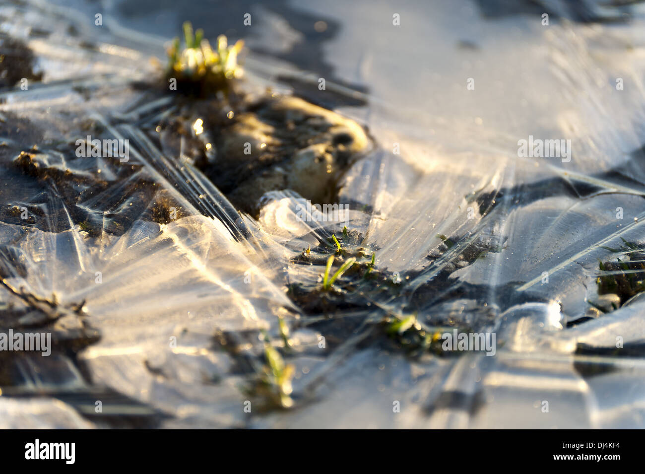 Puddle with a layer of ice Stock Photo - Alamy