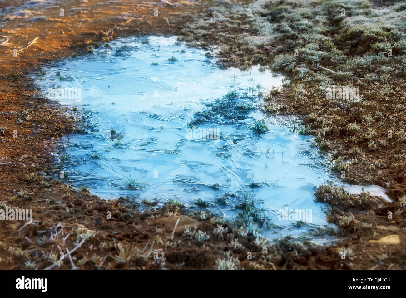 frozen puddle in the morning sun Stock Photo - Alamy