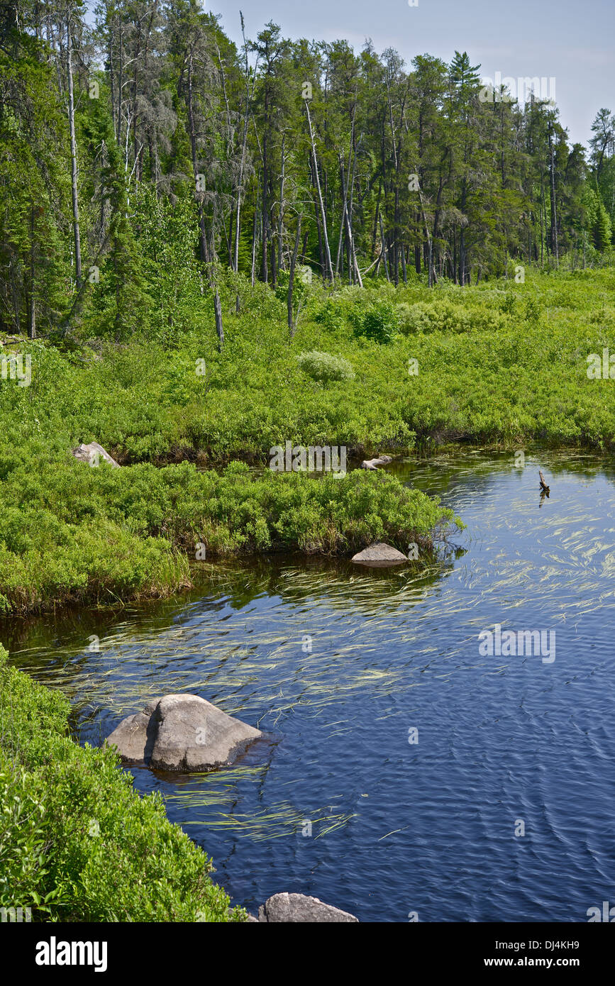 Minnesota Landscapes. Scenic Minnesota Wilderness (USA). Nature Photo ...