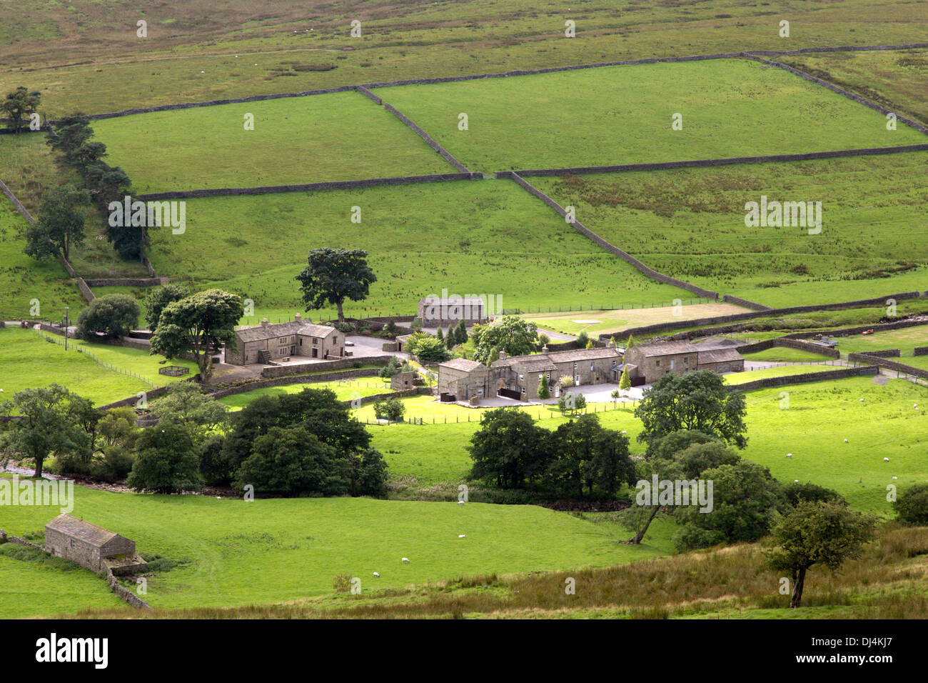 Yorkshire Dales hill farm, Yorkshire Dales National Park, North ...