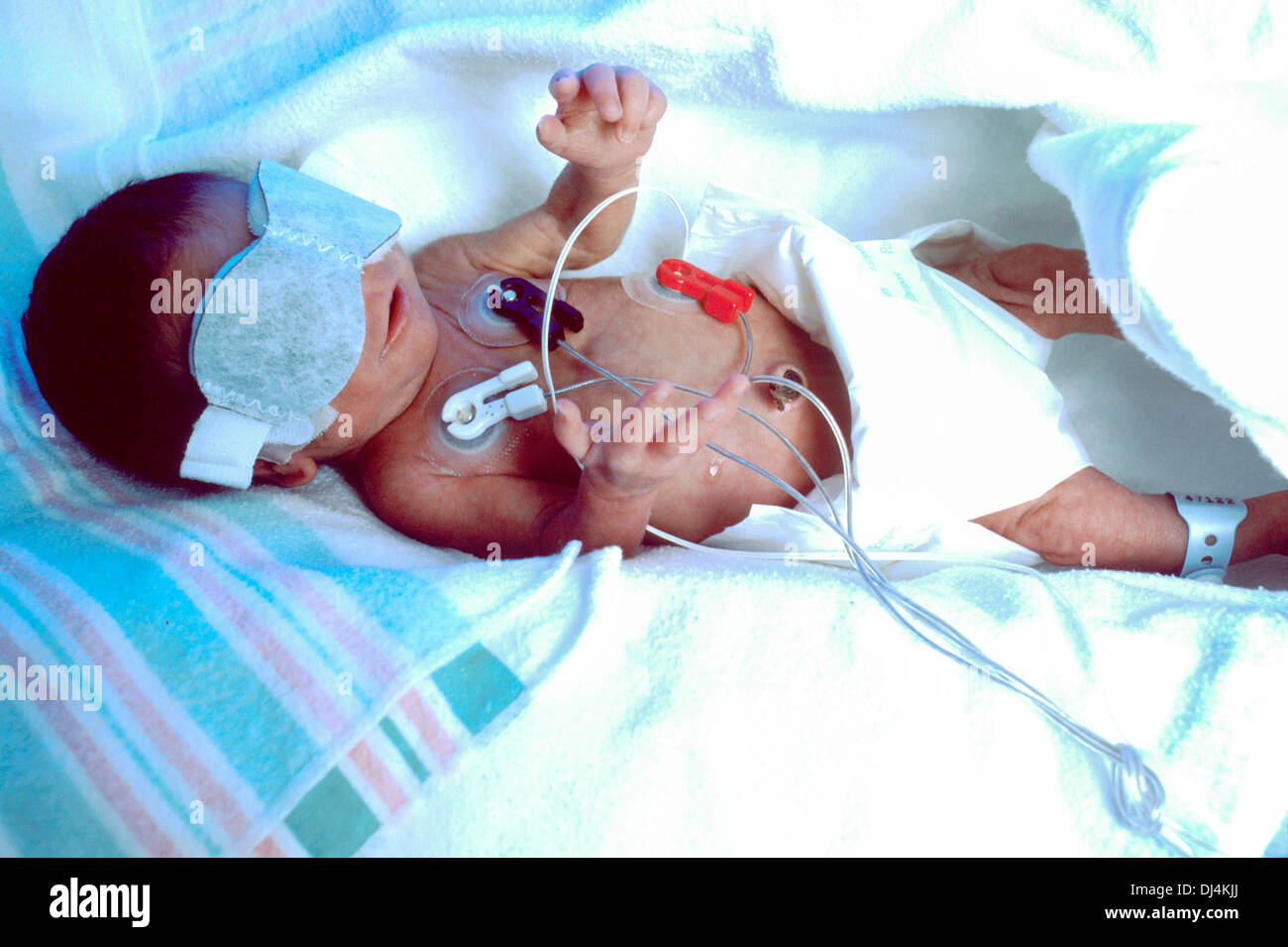 Nicu hi-res stock photography and images - Alamy