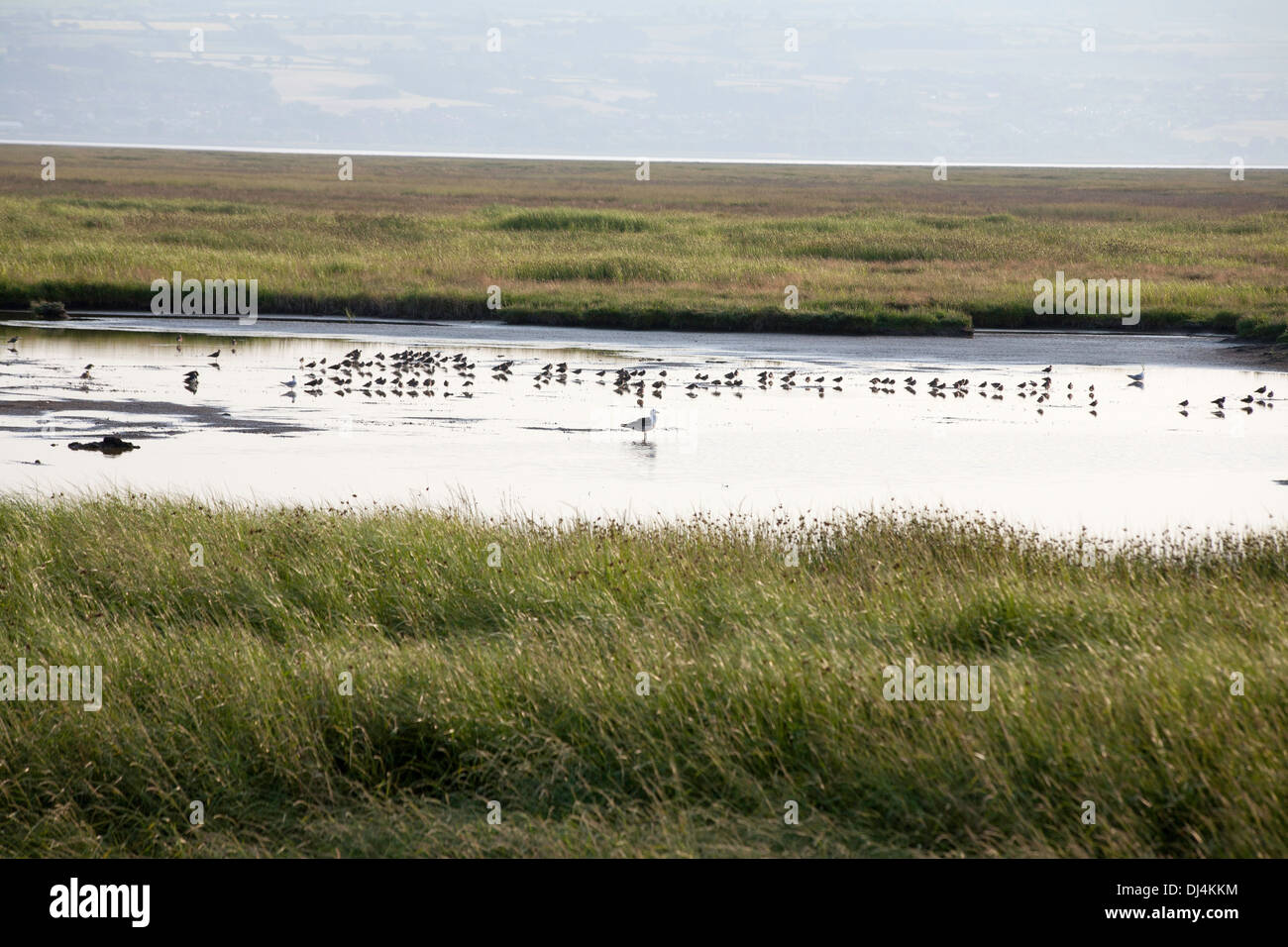 Neston, wirral peninsula hi-res stock photography and images - Alamy