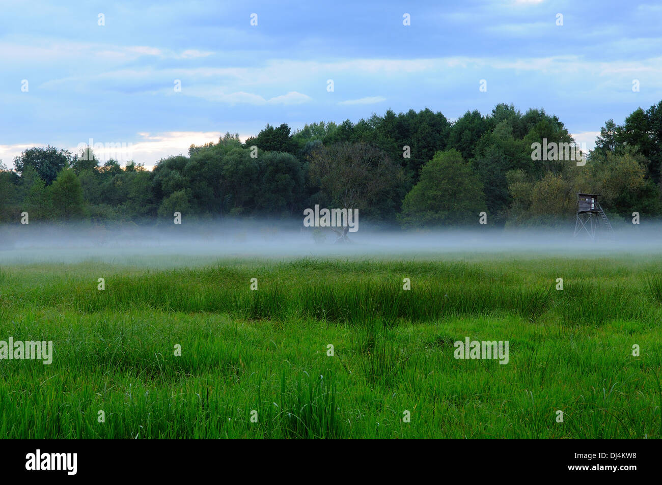 Fog of uncertainty hi-res stock photography and images - Alamy