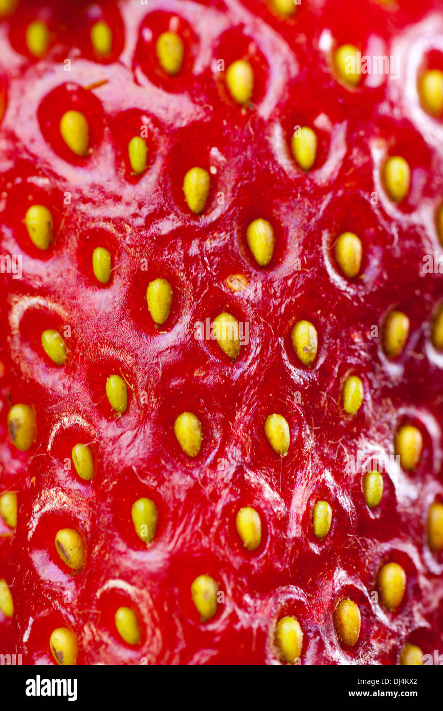 The texture of strawberries Stock Photo - Alamy
