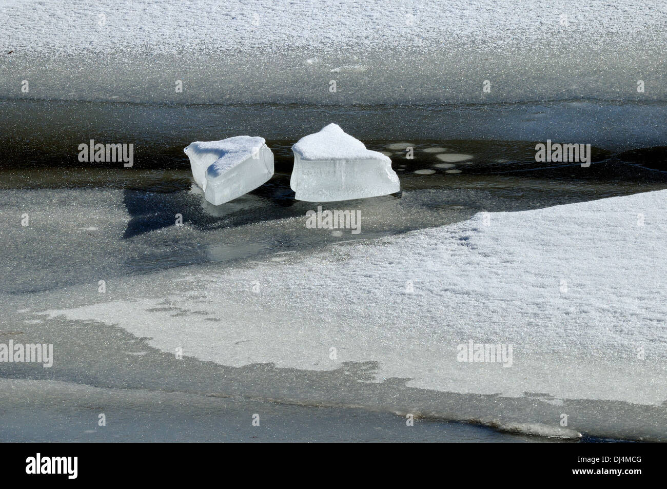 Ice floe broken off hi-res stock photography and images - Alamy