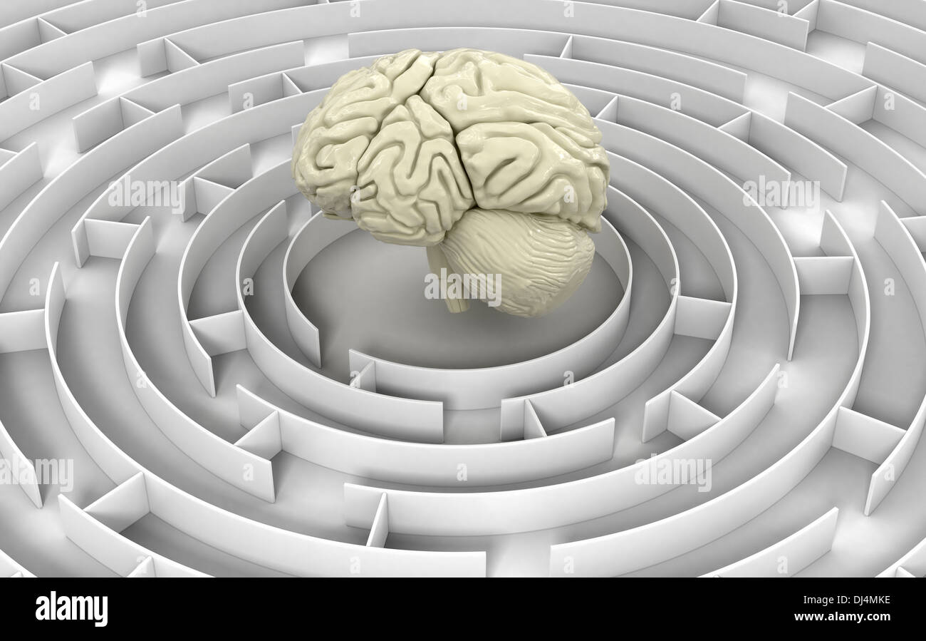 Maze to human brain Stock Photo - Alamy