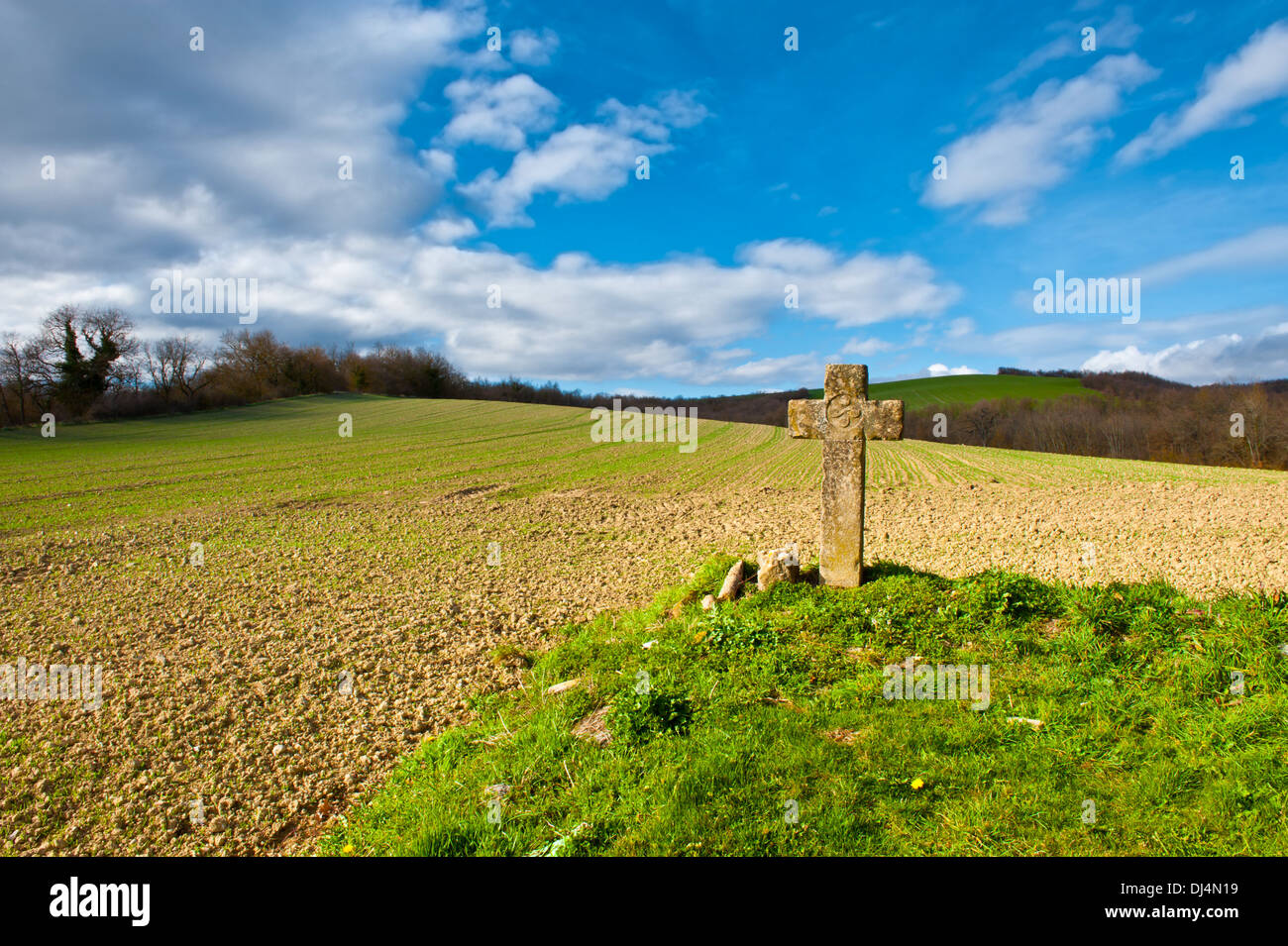 Cross tree field bush hi-res stock photography and images - Alamy