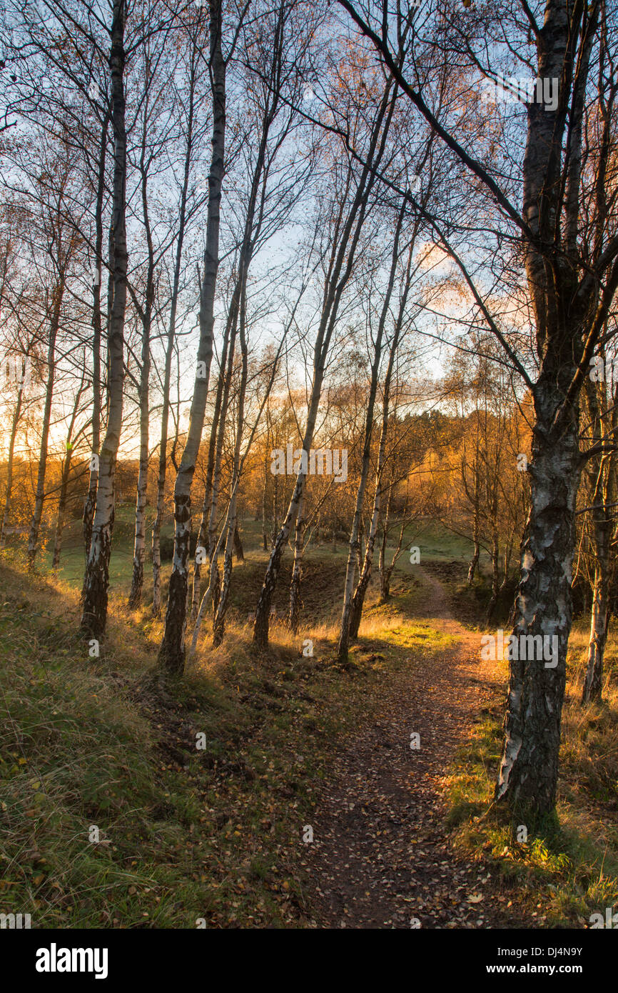 New fancy viewpoint gloucestershire hi-res stock photography and images ...