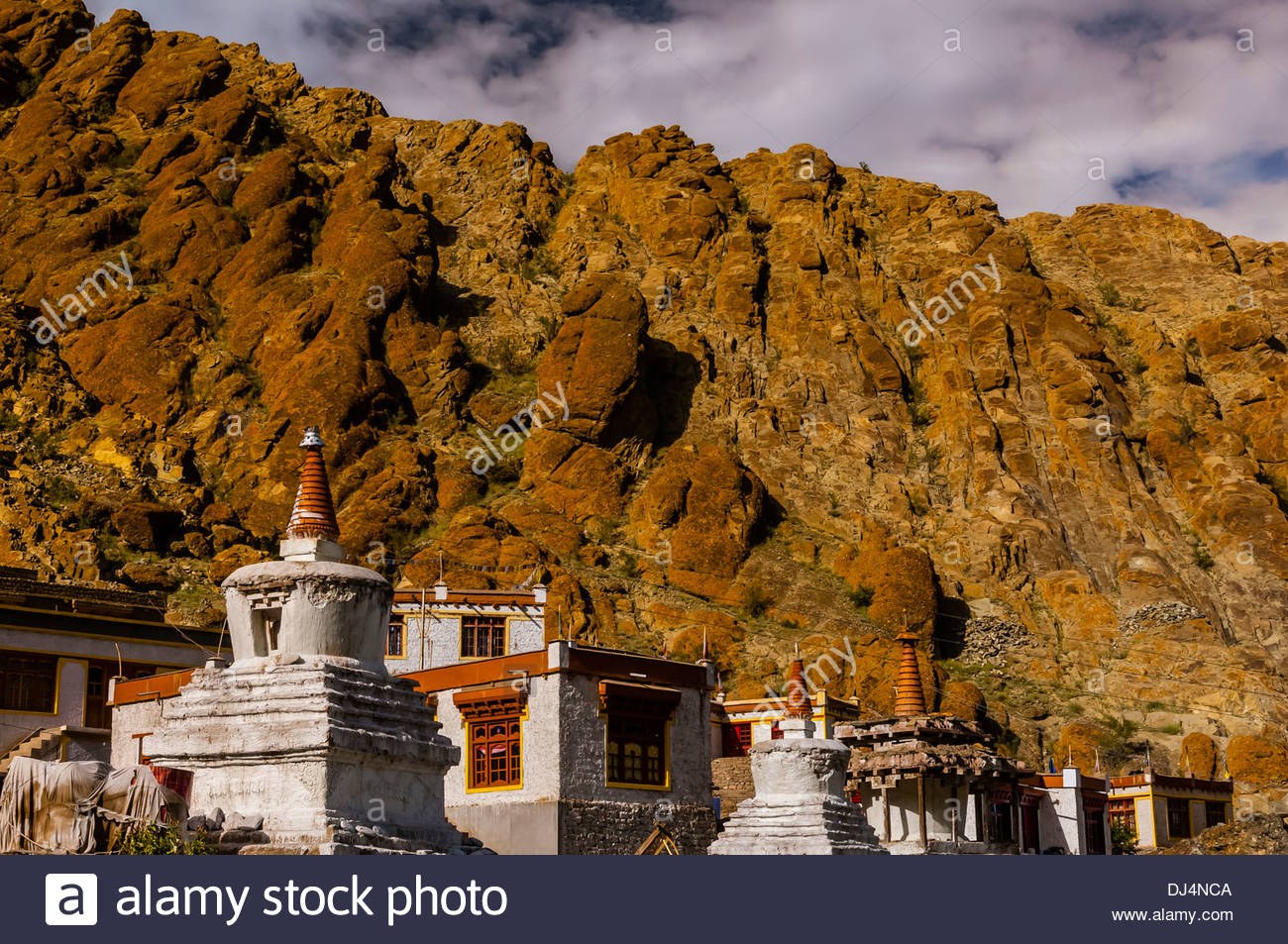 Hemis Stock Photos & Hemis Stock Images - Alamy